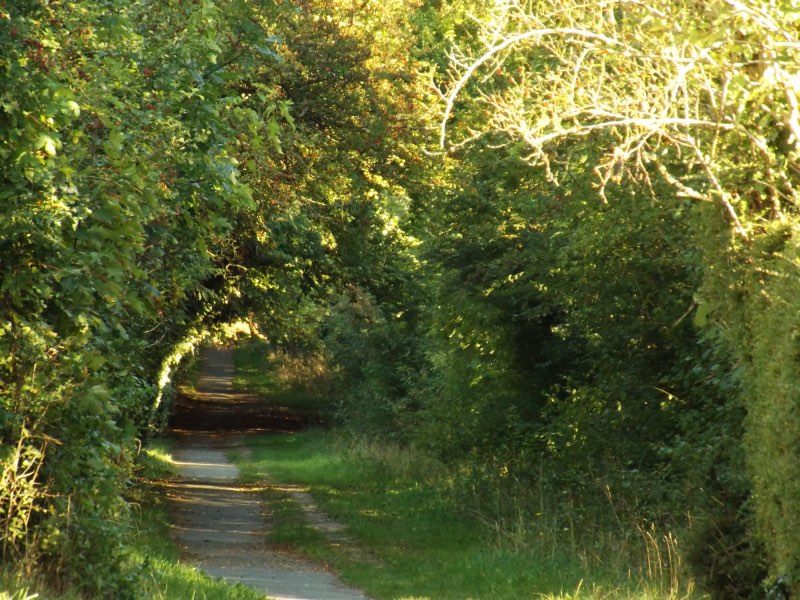 St Edith’ s Well at Kemsing | Walking The Pilgrims' Way