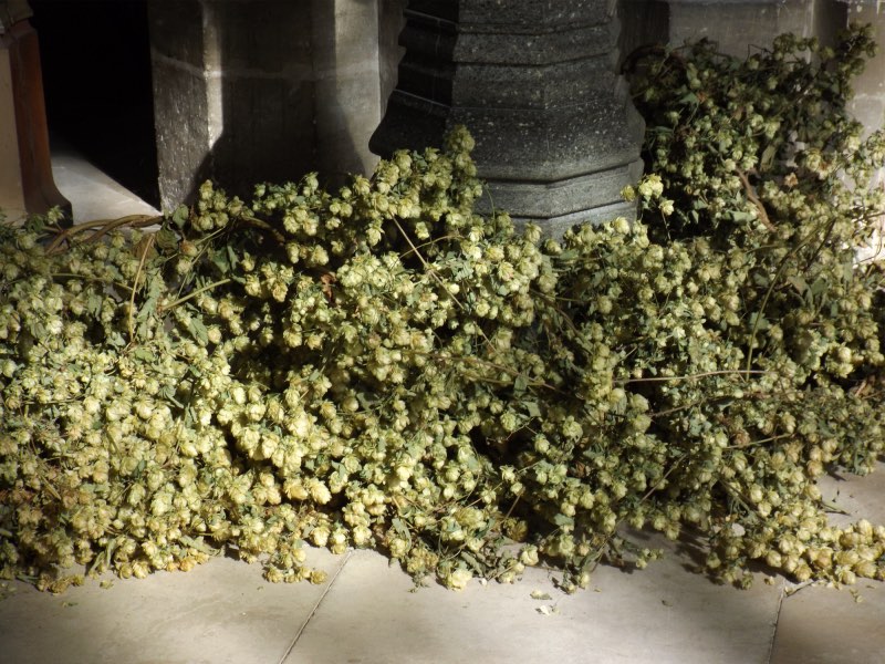 Harvest Thanksgiving on Pilgrims’ Way | Walking The Pilgrims' Way